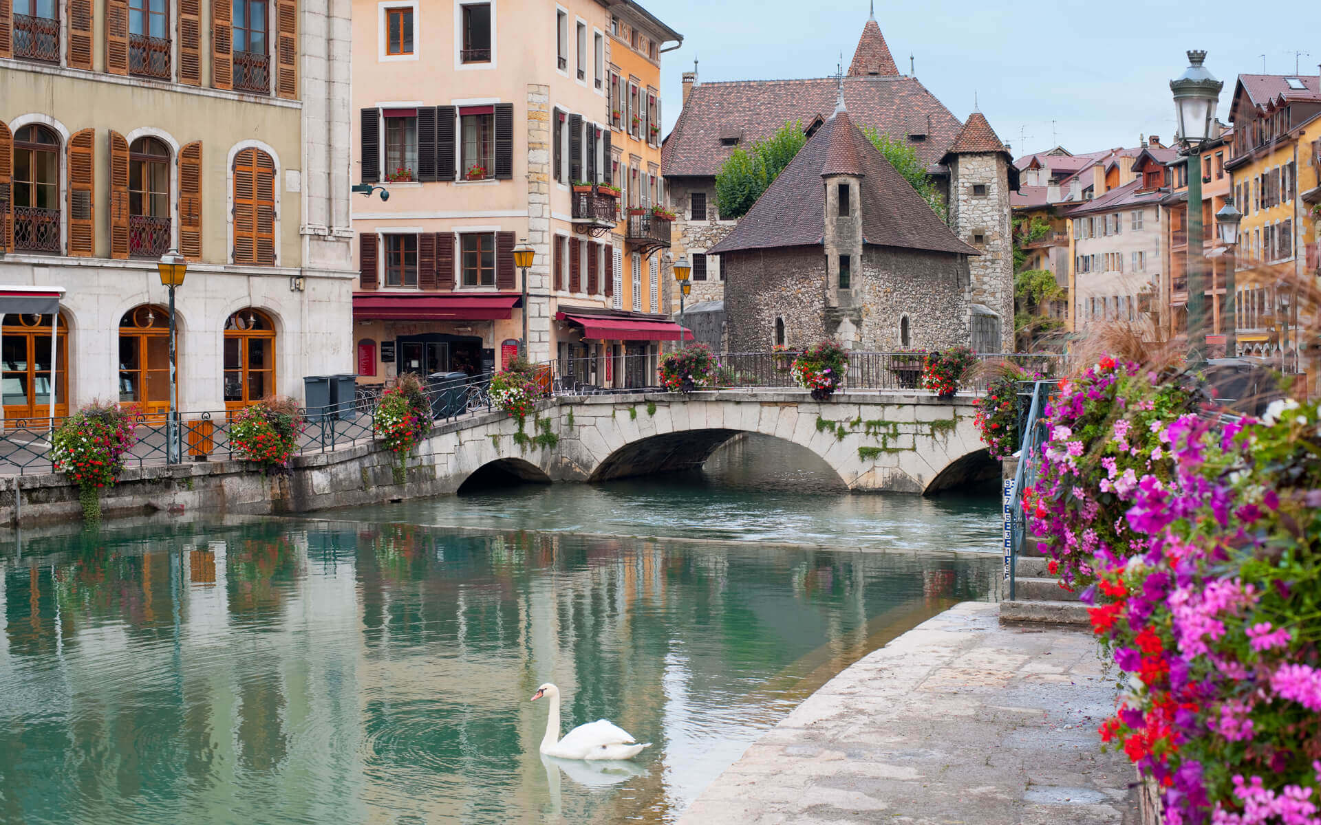 Vista Higher Learning